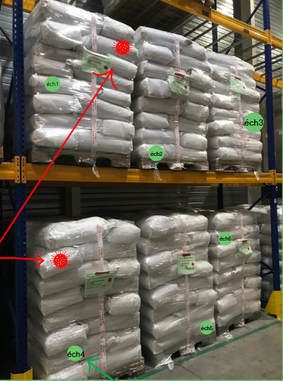 Pathogens vs. Non-Pathogens: Everything you need to know about bacteria ...